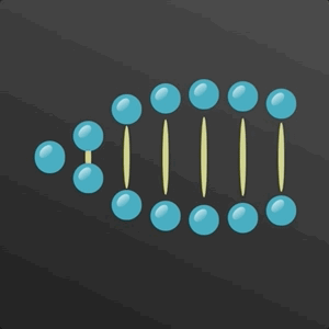 Animation Nation - ZTM Hacktoberfest